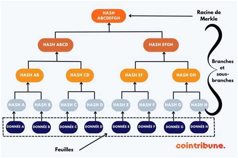 How Are Merkle Trees Used On Bitcoin