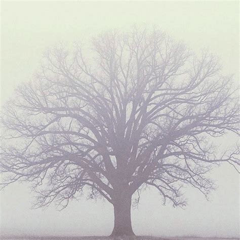 Stream Danny Dotson Music Listen To Songs Albums Playlists For Free