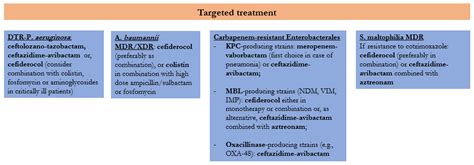 Antibiotics For Gram Negative Skin Infections At Jamie Gibb Blog