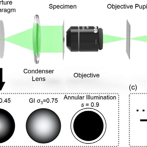 Schematic Illustration Of Experimental Setup A Description Of