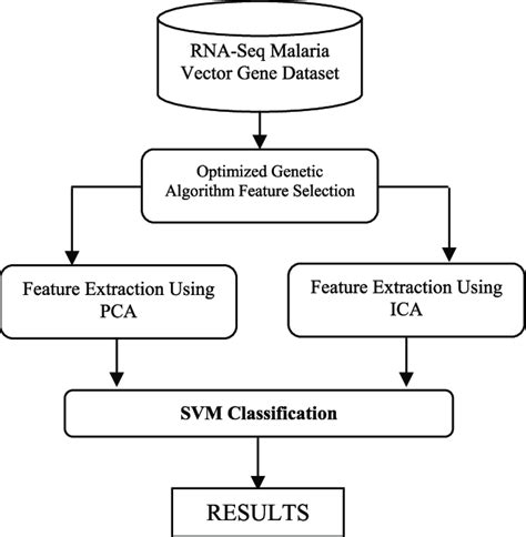 Proposed Rna Seq Gene Classification Framework Download Scientific Diagram