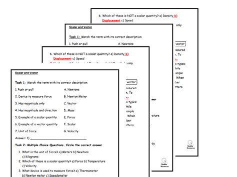 Mastering Scalar And Vector Quantities Differentiated Worksheets For