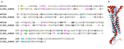detection of a remote homolog for hpo30 and validation with predicted download scientific