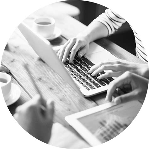 linkedin employee advocacy program step by step guide trevisan