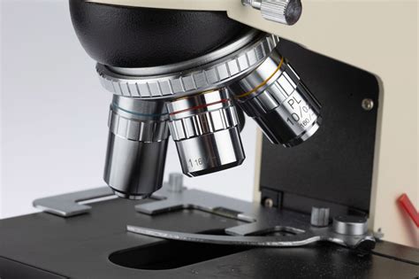 Lot 827 Trinocular Microscope With Vertical