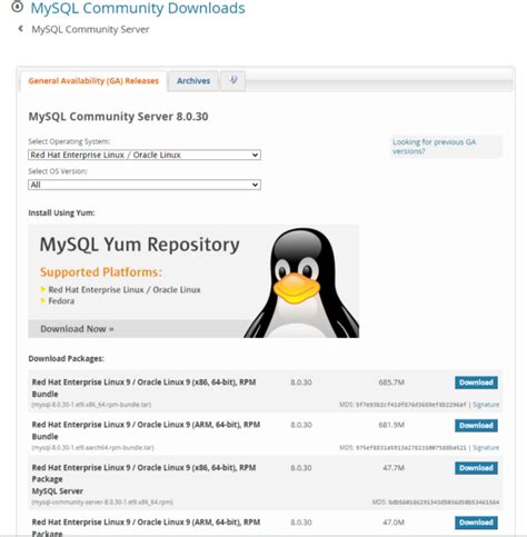 Understanding The Difference Between Sql And Mysql
