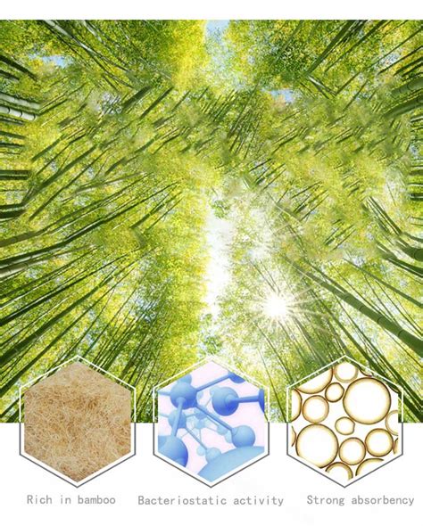 China Bamboo Virgin Pulp Potential And Development Doocity