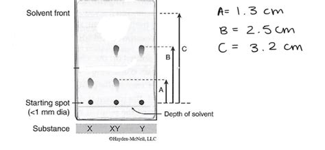 Solved Help With This Following Question Please Calculate Chegg Com