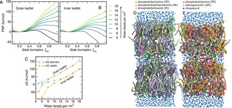 A B Pmfs Of Stalk Formation With Lipid Composition Taken From The