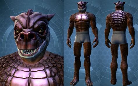 Swtor Companion Appearance Customization Swtor Guides For Flashpoints Operations And Various