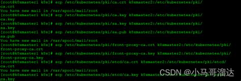 Keepalivenginx高可用k8s集群部署 Csdn博客