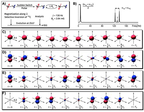 Visualizations Of Spin Dynamics In An Ax System 1 H 13 C Nuclear Download Scientific Diagram