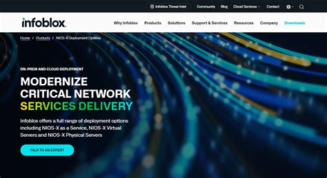 NIOS X Deployment Models Physical Virtual Or As A Service