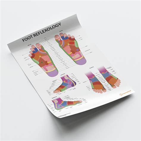 Massage Therapist Knowledge Foot Reflexology Chart The 3 Massages For