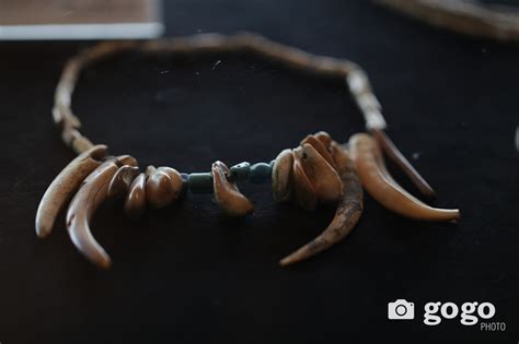 ФОТО Евразид маш ховорт тооцогдох Монголоос олдсон археологийн олдворуудыг дэлгэлээ