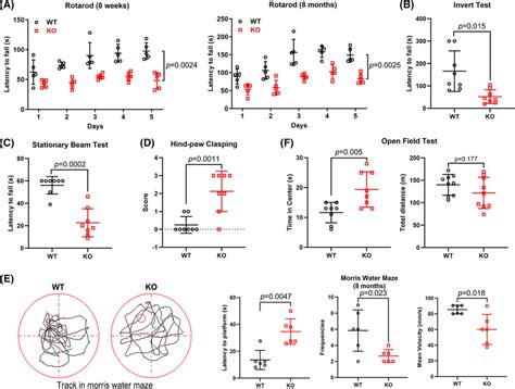 Ccdc134 Knockout Mice Develop Progressive Motor And Cognitive Function Download Scientific