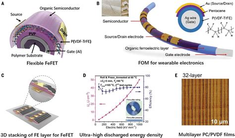Science 含氟聚合物铁电体：用于极性结构能量转换的多功能平台 材料牛