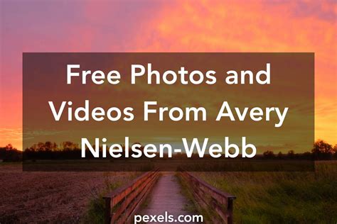 Avery Nielsen Webb Photography