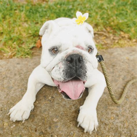 My Cutie Princess Rcute