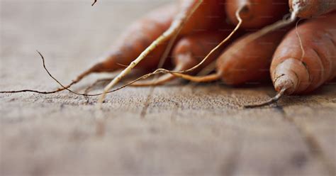 나무 테이블 위에 누워 있는 당근 한 무리 사진 Unsplash의 뿌리 이미지