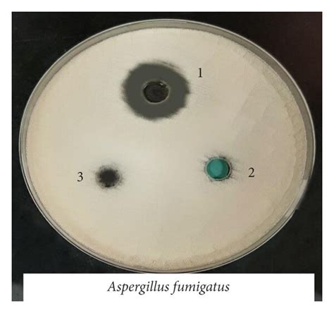 Microbiological Screening Of Niii Cuii And Mnii Complexes Download Scientific Diagram