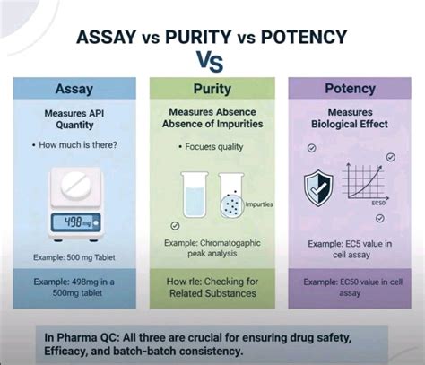 Understanding Assay Purity And Potency In Pharma Quality Control