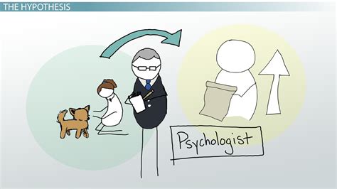 Experimental Psychology Experiments