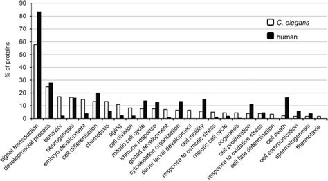 GO Term Analysis Percentage Of Proteins Associated With A Given GO Download Scientific Diagram