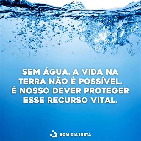 20 Frases De Conscientização De água