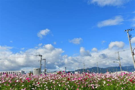 By Himatora Id Photohito