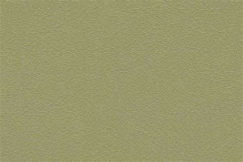 Ofs Evolution Genotype Ofs Evolution Genotype