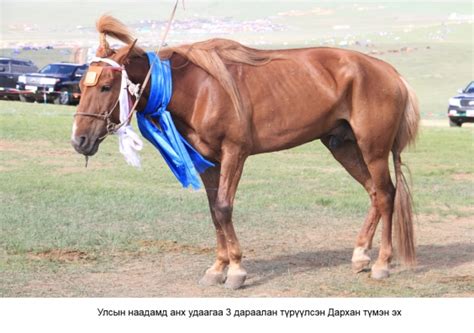 Түмэн эх Улс халзан Ugshil Mn