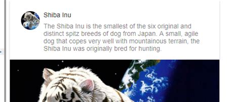 md card css property overflow hidden doesn t work correctly on md card subtitle · issue 5785