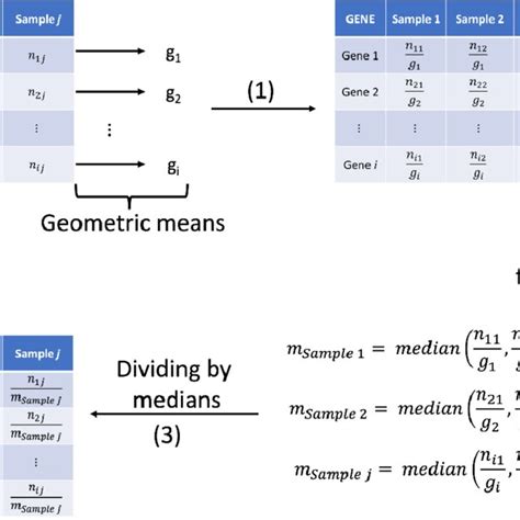schematic way of data normalization procedure 1 dividing by the