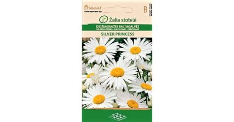 Leucanthemum Maximum