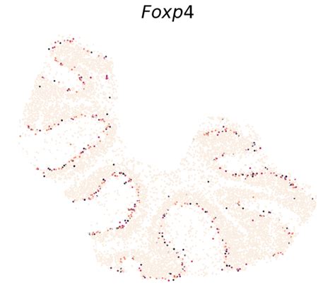 Mouse Cerebellum Slideseq V2 — Spatialscope Tutorial 010 Documentation