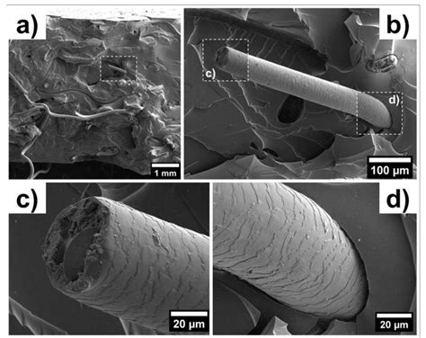The Fracture Surface Of A Bn Rubber Based Vulcanized Composite With A 7