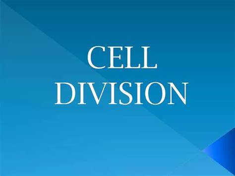 PPT CELL DIVISION PowerPoint Presentation Free Download ID 5785374