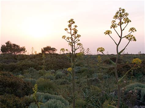 Tutorials The RAW File Format