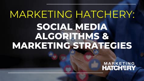 the impact of social media algorithms on marketing strategies marketing hatchery seo and ppc