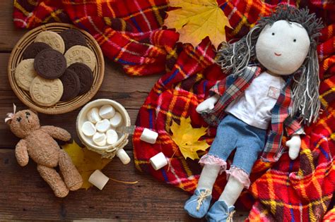 마쉬 멜 로우 초콜릿 쿠키와 땅콩 비스킷 담요와 코코아 한잔 가 장면입니다 가 휴식 국가 생활 휴식 또는 농촌 휴가 안녕하세요 9 월 10 월 11 월 개념 0명에 대한