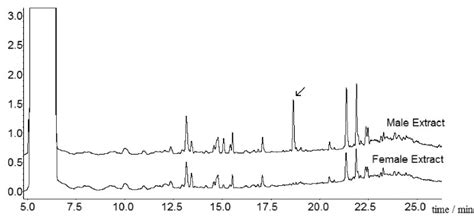 Gas Chromatograms Fid Of Headspace Volatile Extracts Obtained From 24