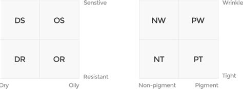 바우만 피부타입 소개 스킨엔서