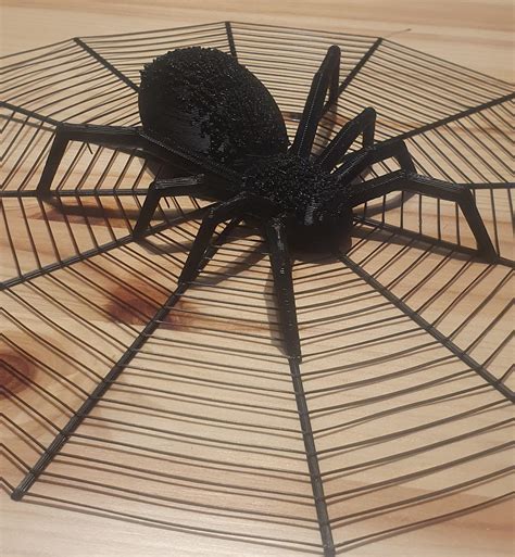 Spider In Net By Kivinen Download Free Stl Model