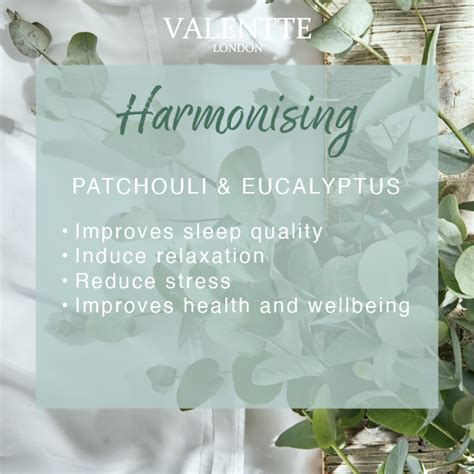 Patchouli And Eucalyptus Diffuser