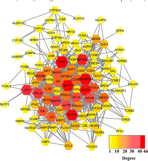 Figure 2 From Exploring Quercetin Anti Osteoporosis Pharmacological