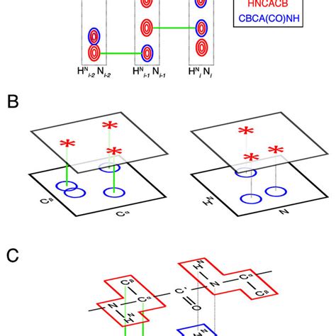 The Use Of Correlations For Nmr Backbone Resonance Assignment Peaks And