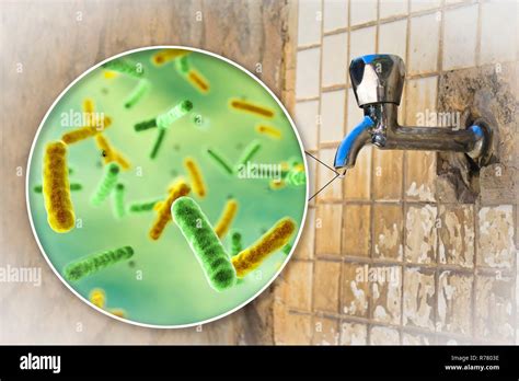 Microorganisms In Drinking Water