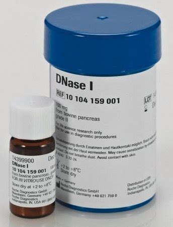 Dnase I Roche