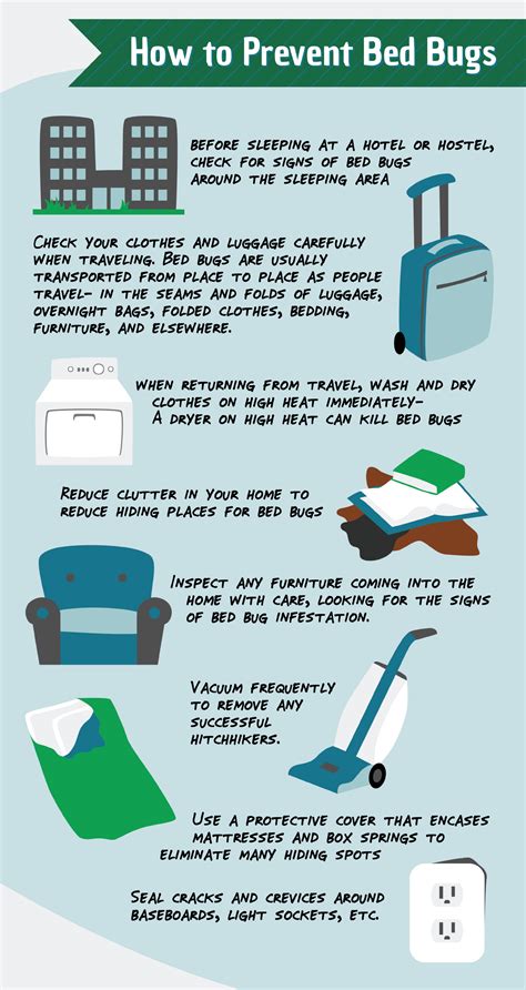 How To Protect From Bed Bugs When Traveling 60 Photos